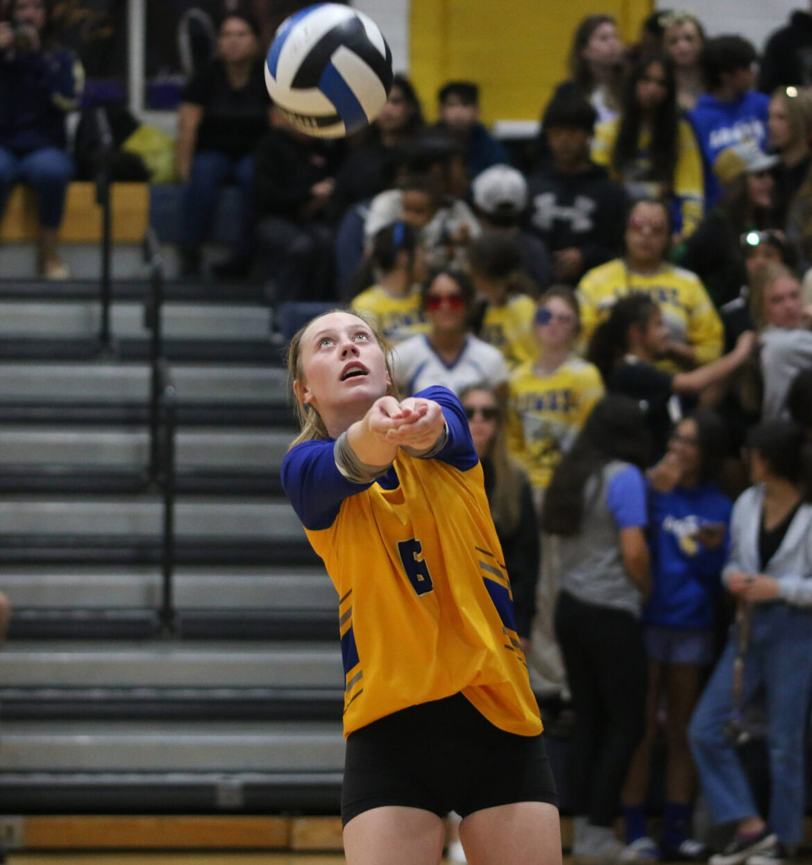 Student-Athlete of the Year: Megan Cook - Lowry High